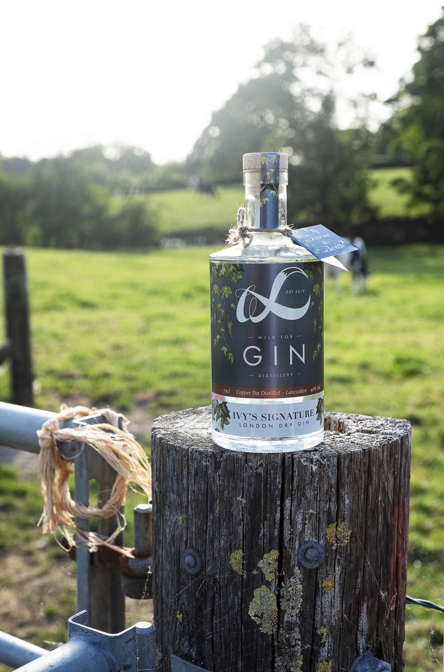 Ivy's Signature London Dry Gin - Wild Fox DistilleryWild Fox Distillery