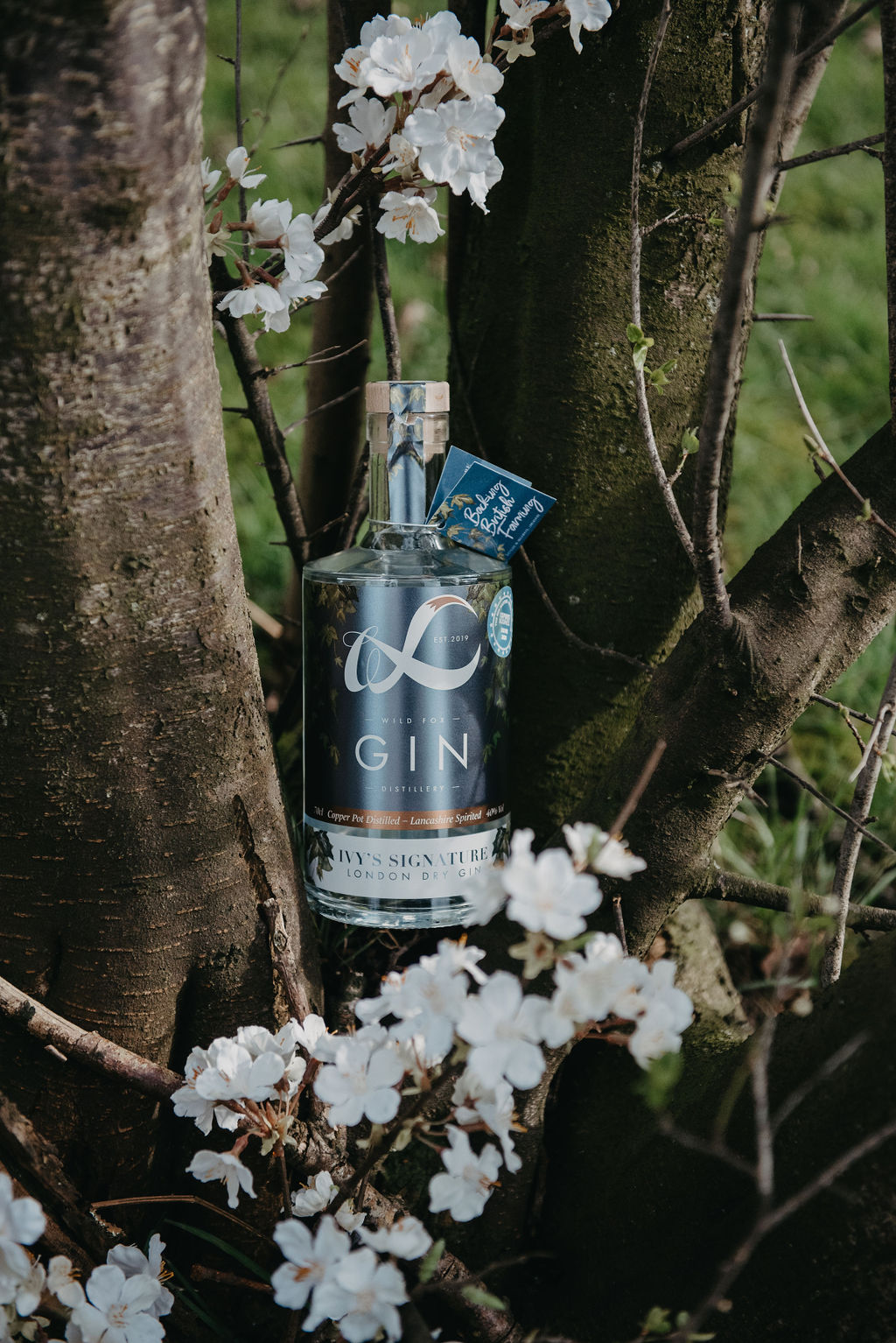 Why are we the best gin? - Wild Fox DistilleryWild Fox Distillery