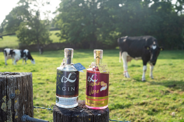 Home - Wild Fox DistilleryWild Fox Distillery